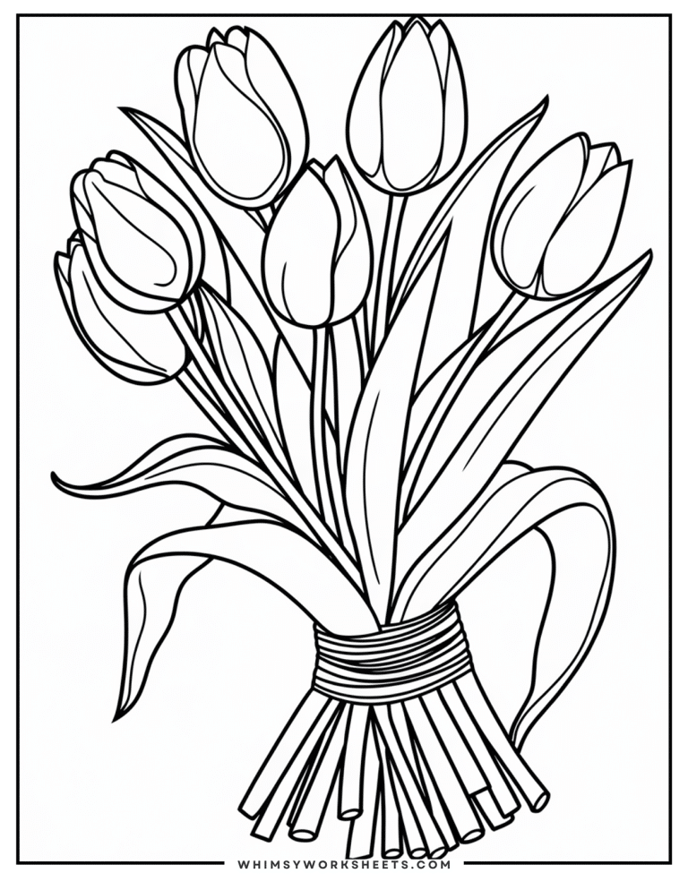 Tulip Outline Coloring Pages: Bunches • Whimsy Worksheets