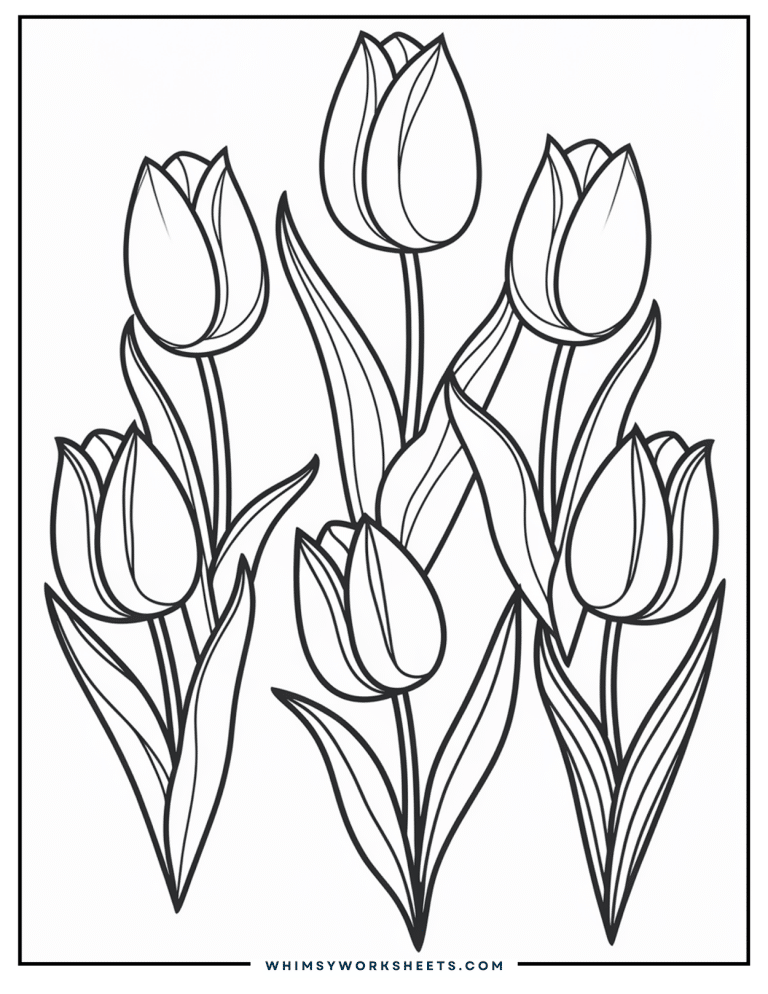 Tulip Outline Coloring Pages: Bunches • Whimsy Worksheets