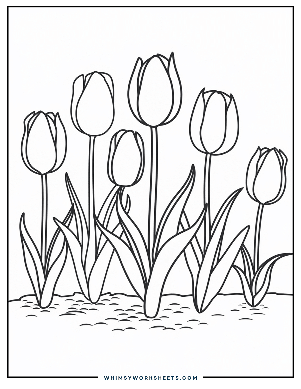 Tulip Outline Coloring Pages: Bunches • Whimsy Worksheets
