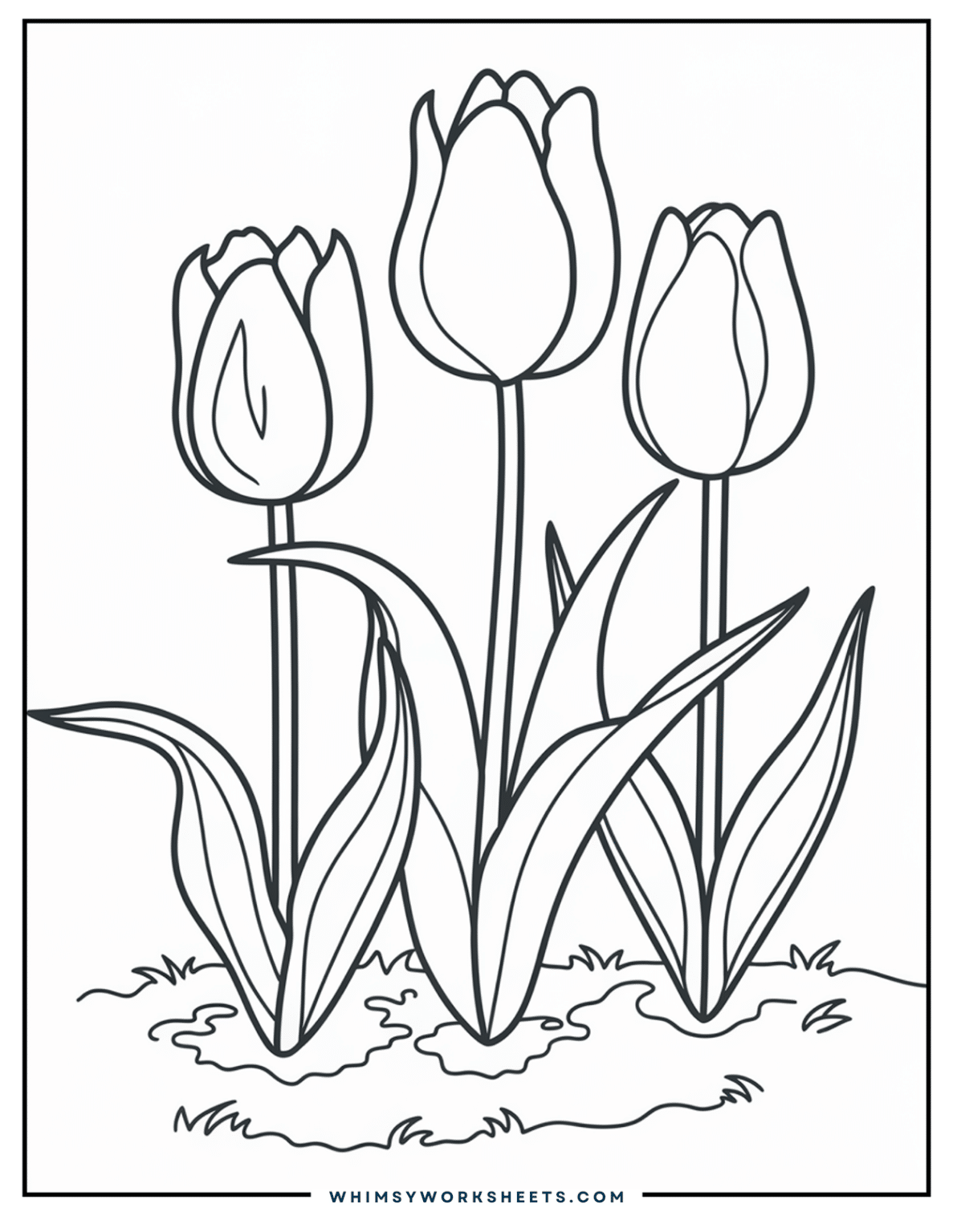Tulip Outline Coloring Pages: Blooms • Whimsy Worksheets