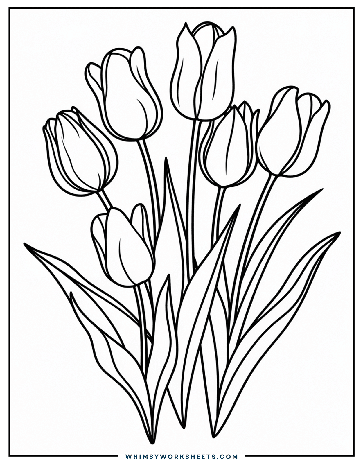 Tulip Outline Coloring Pages: Bunches • Whimsy Worksheets