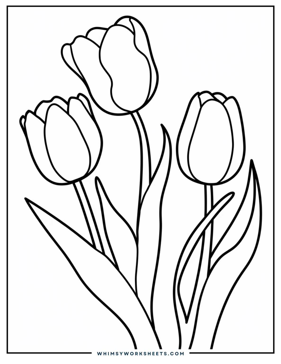 Tulip Outline Coloring Pages: Blooms • Whimsy Worksheets