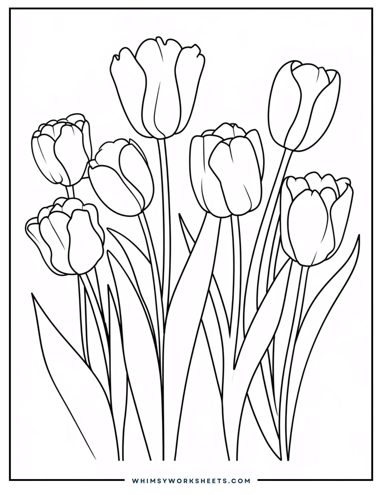 Tulip Outline Coloring Pages: Bunches • Whimsy Worksheets