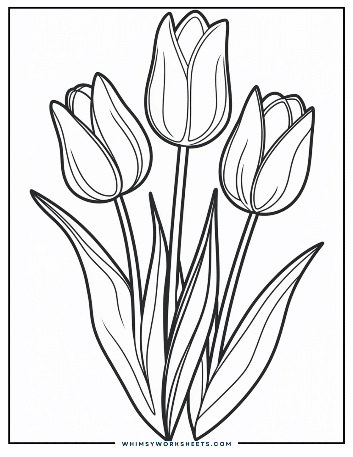 Tulip Outline Coloring Pages: Blooms • Whimsy Worksheets