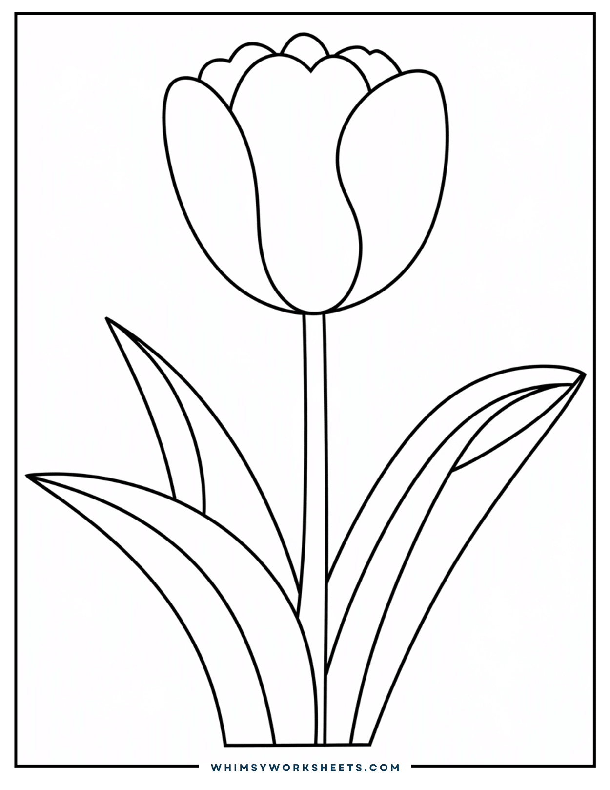Tulip Outline Coloring Pages: Buds • Whimsy Worksheets