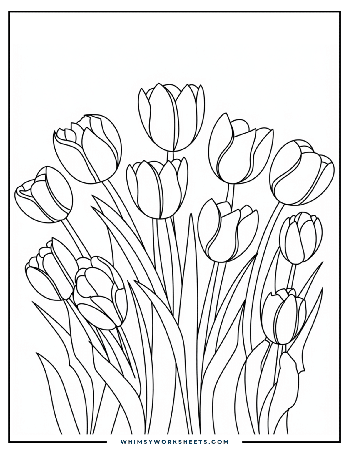 Tulip Outline Coloring Pages: Bouquets • Whimsy Worksheets