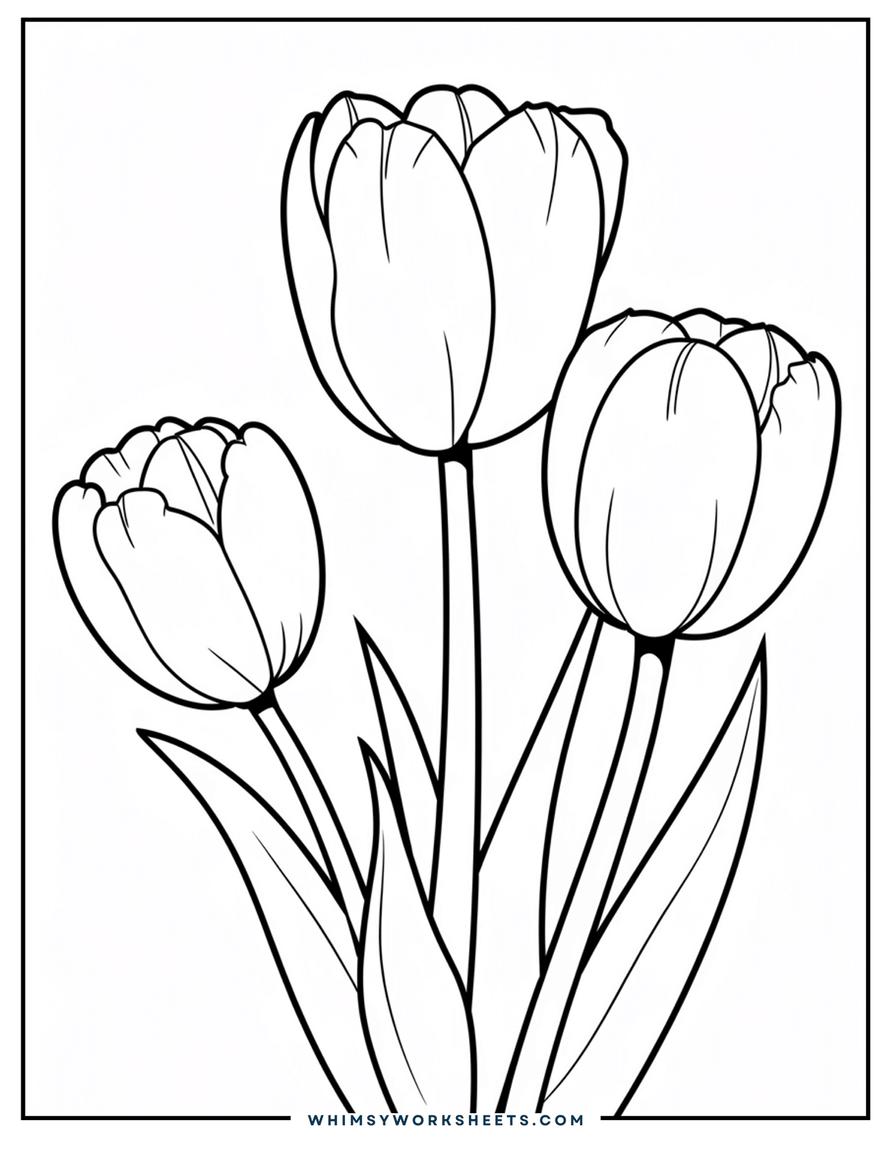 Tulip Outline Coloring Pages: Blooms • Whimsy Worksheets