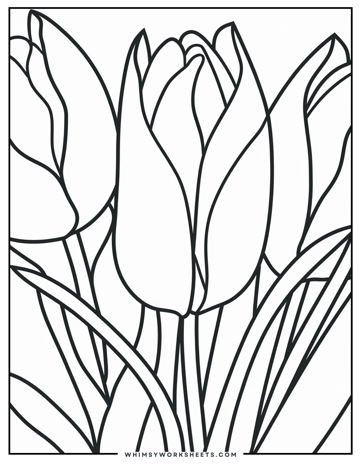 Tulip Outline Coloring Pages: Blooms • Whimsy Worksheets