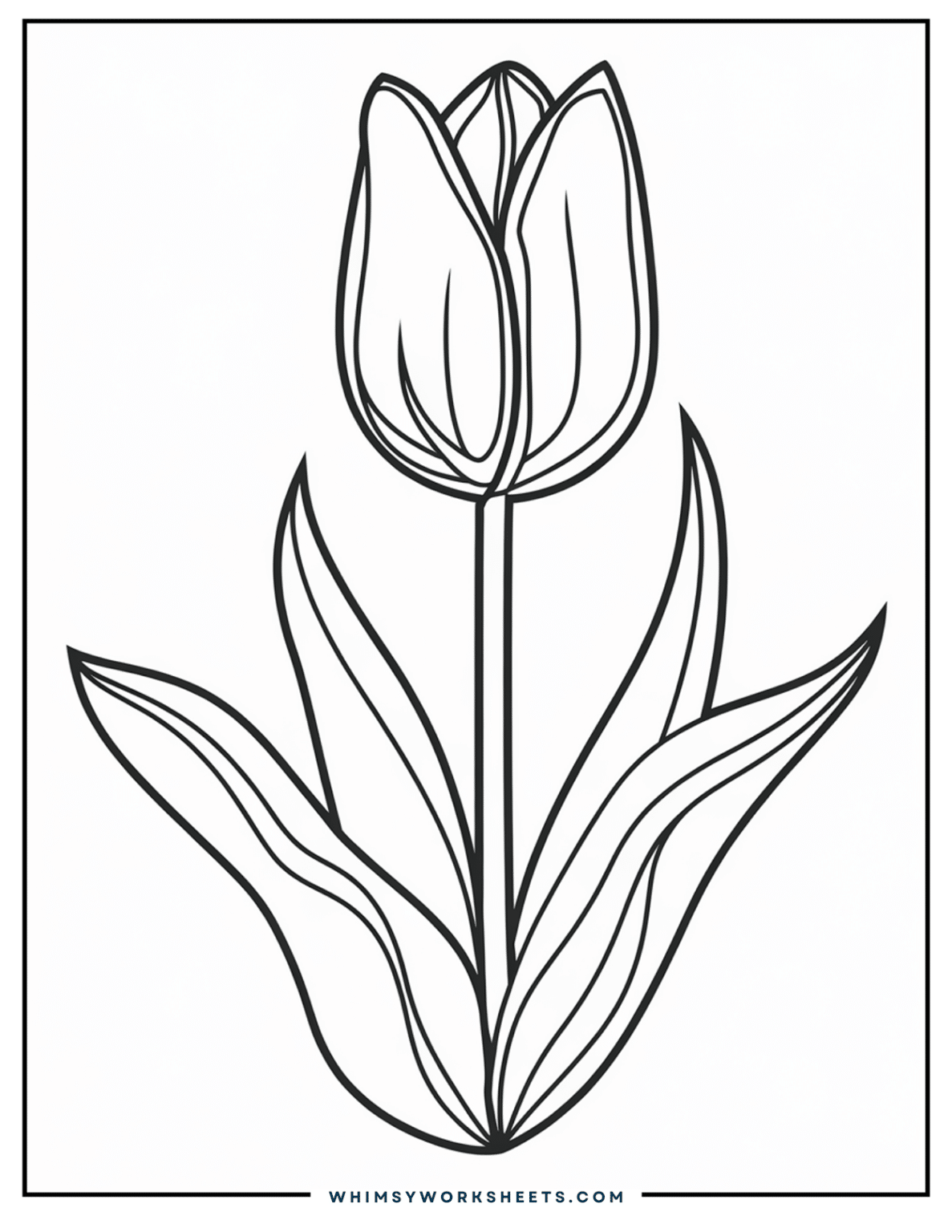 Tulip Outline Coloring Pages: Buds • Whimsy Worksheets