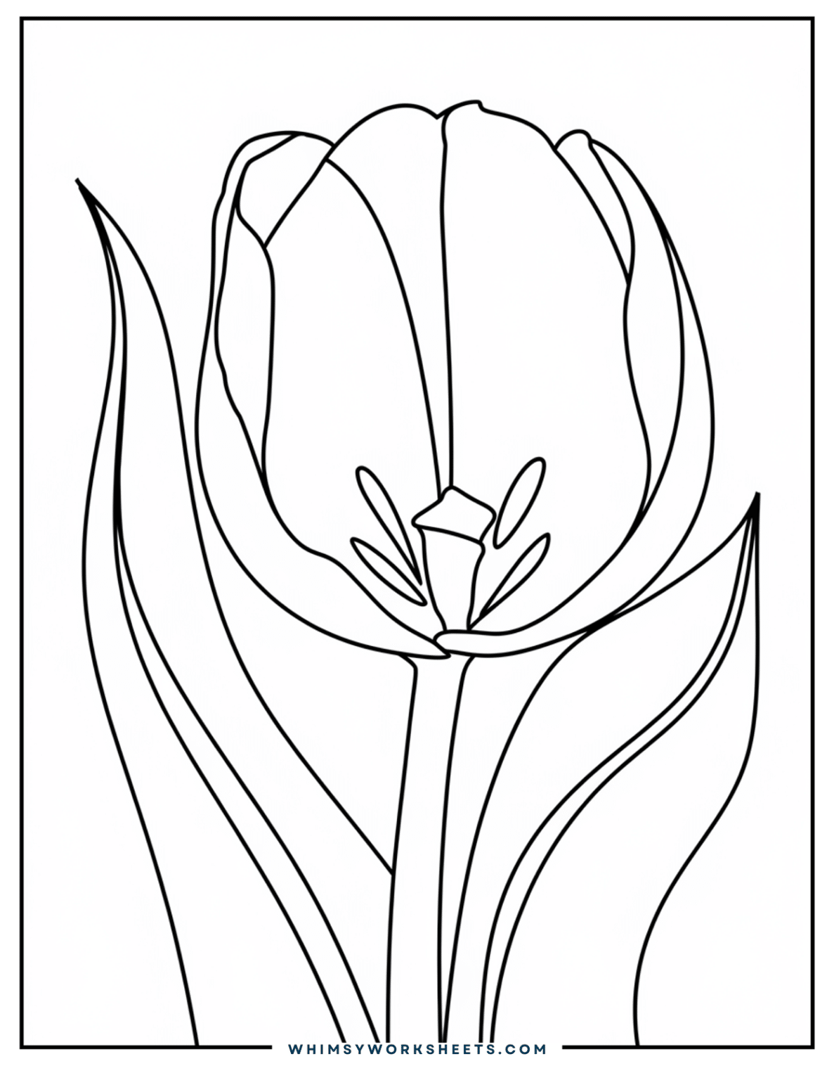 Tulip Outline Coloring Pages: Buds • Whimsy Worksheets